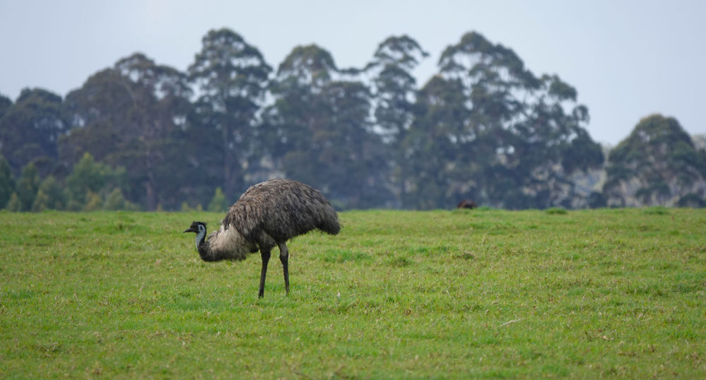 VENT. Western Australia 9/10/2025-9/21/2025